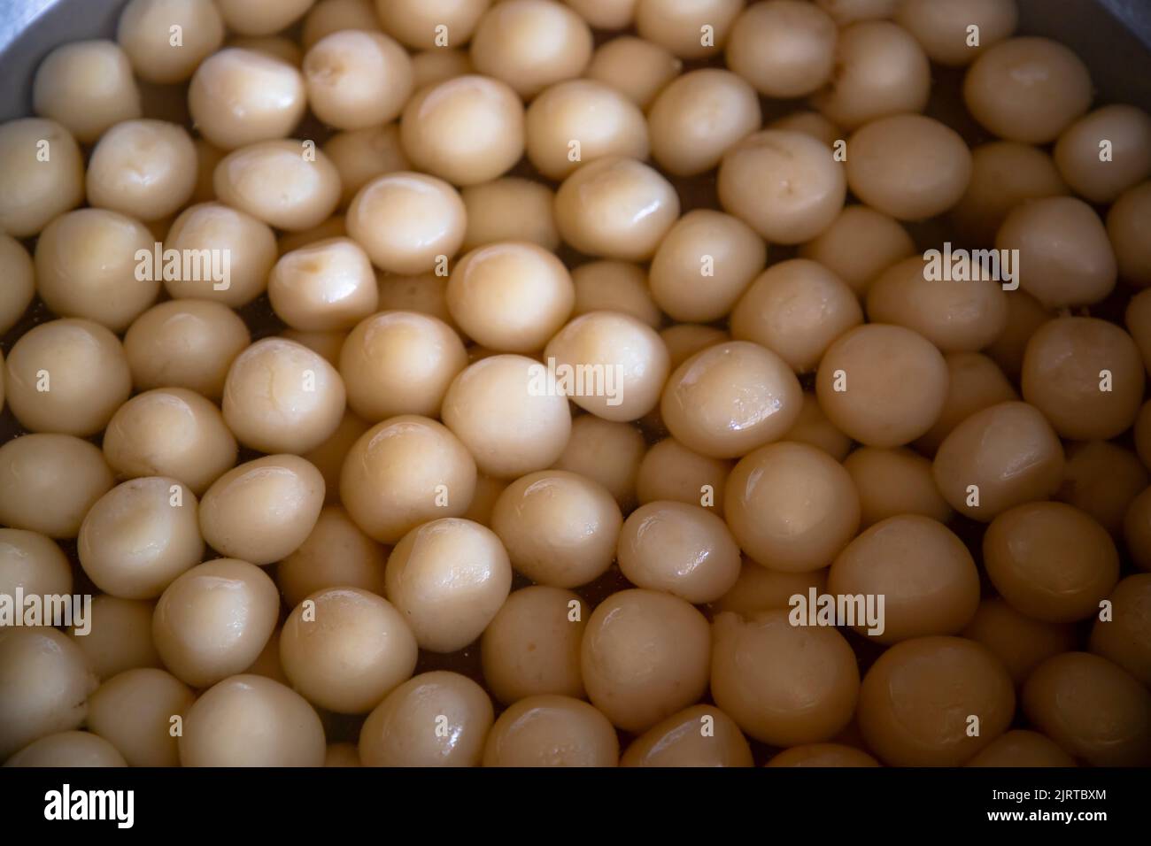 Sweet Rosogolla Bangladeshi Traditional Food background textured Stock ...