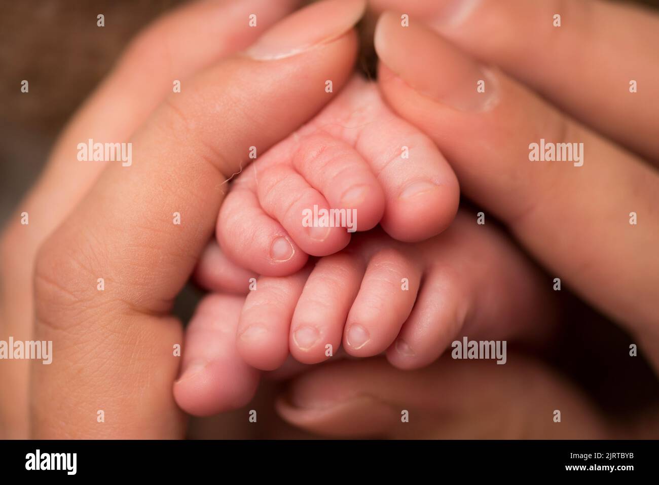 Children's feet in hold hands of mother and father. Mother, father and ...