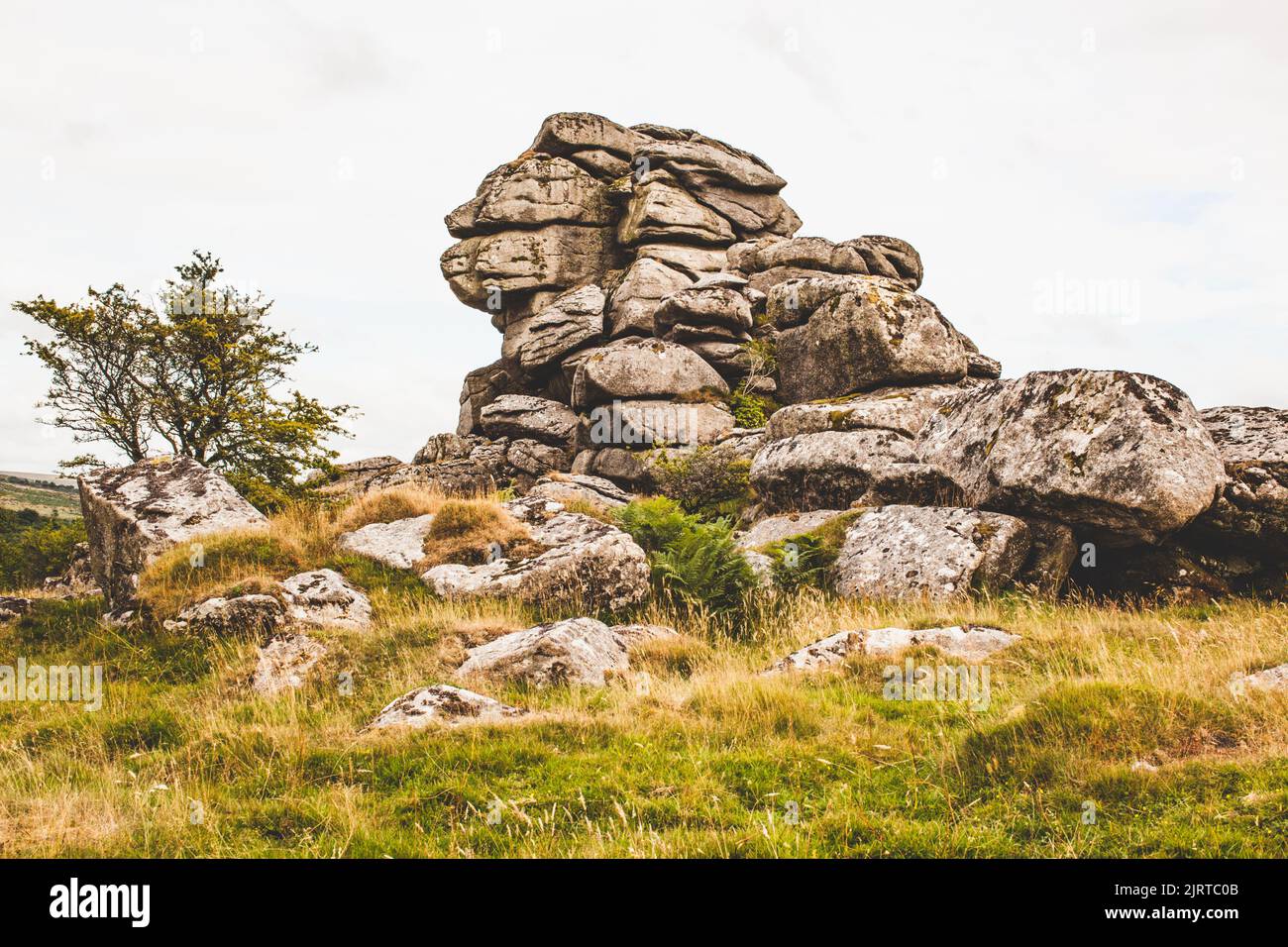 Lion pile hi-res stock photography and images - Alamy