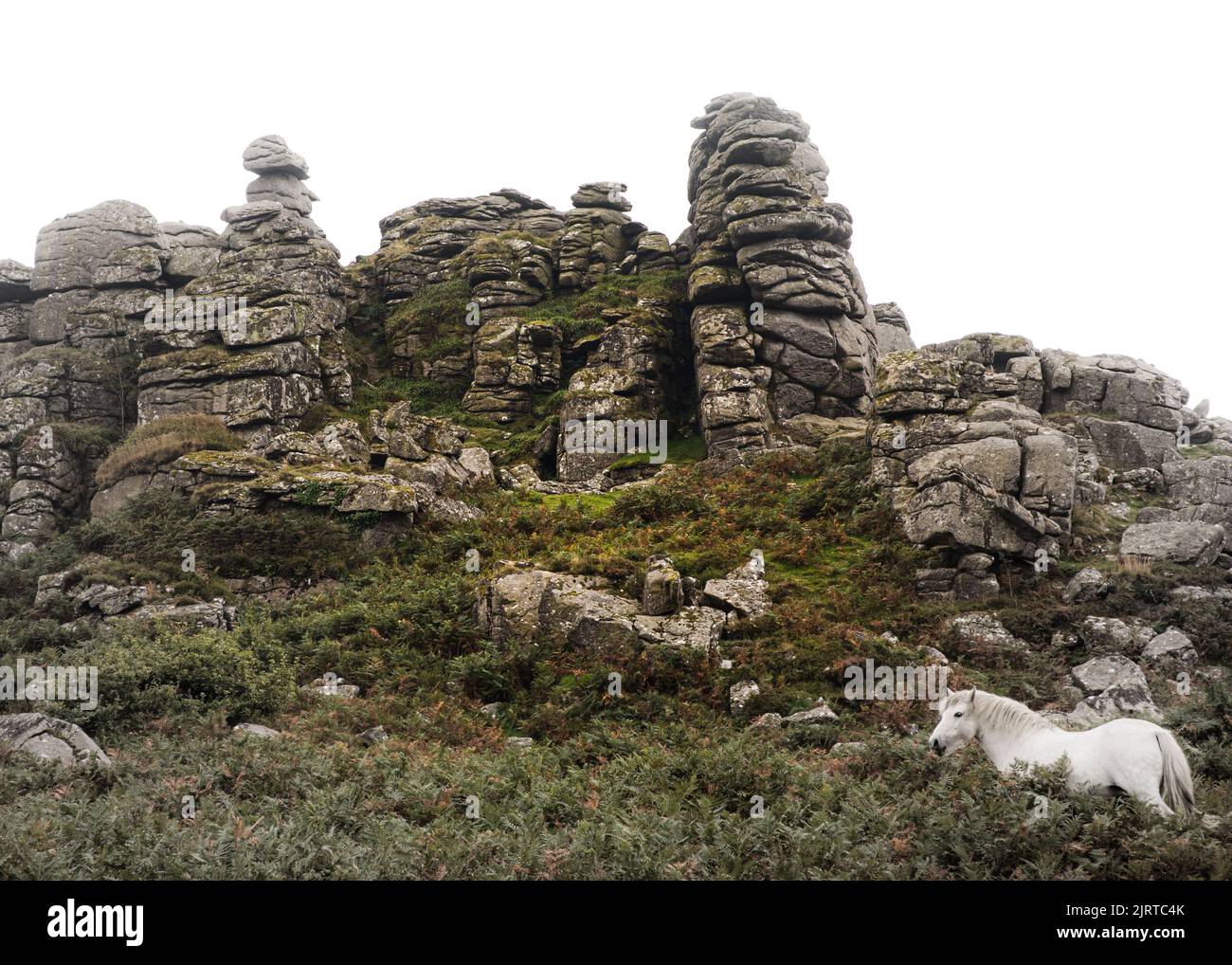 'Hound' tor on Dartmoor in Devon Stock Photo - Alamy