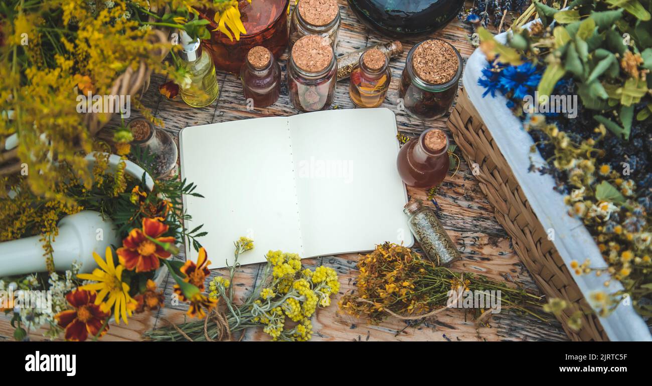 Medicinal herbs on the table. Place for notepad text. Selective focus ...