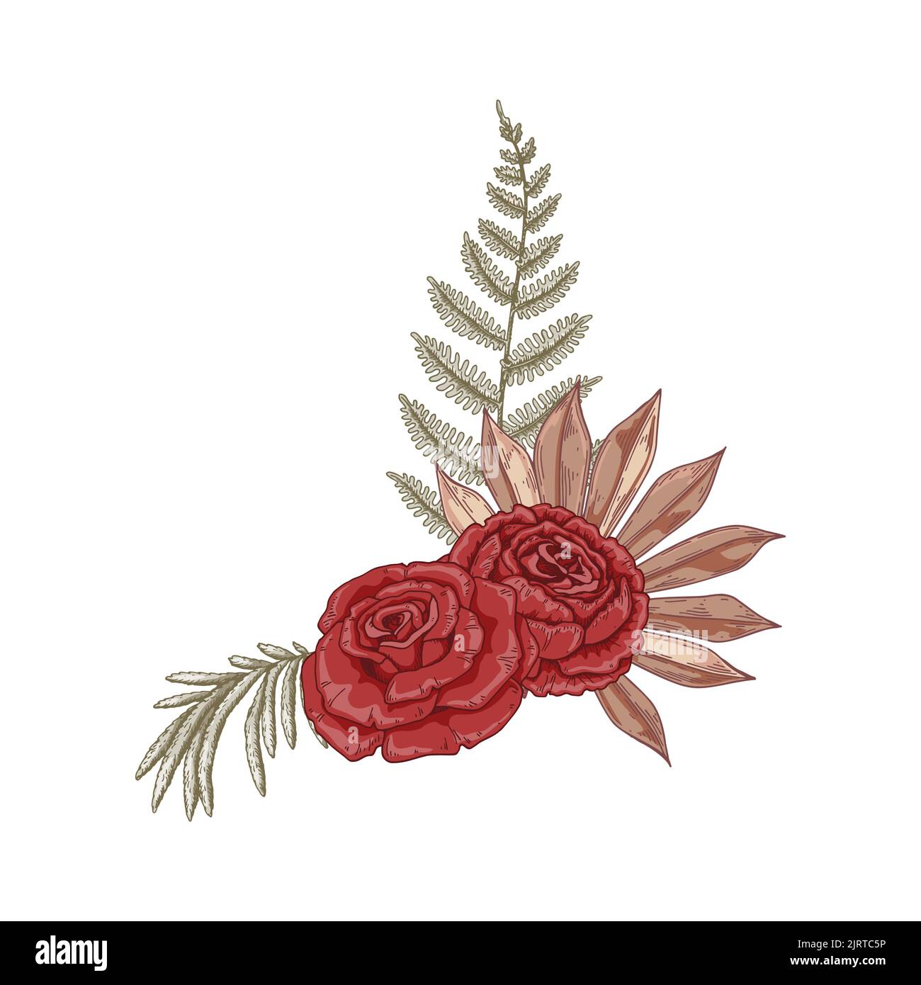 Modern dried flowers composition. Boho bouquet. Hand drawn vector illustration Stock Vector ...