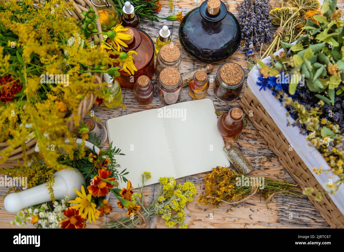 Medicinal herbs on the table. Place for notepad text. Selective focus ...