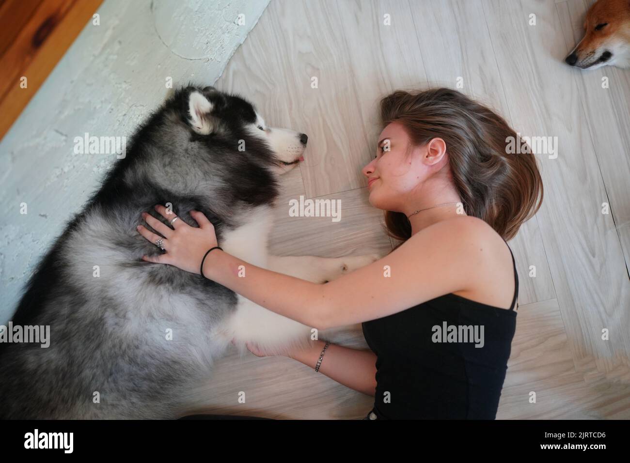 Young woman with her dog at modern house on nature light Stock Photo ...