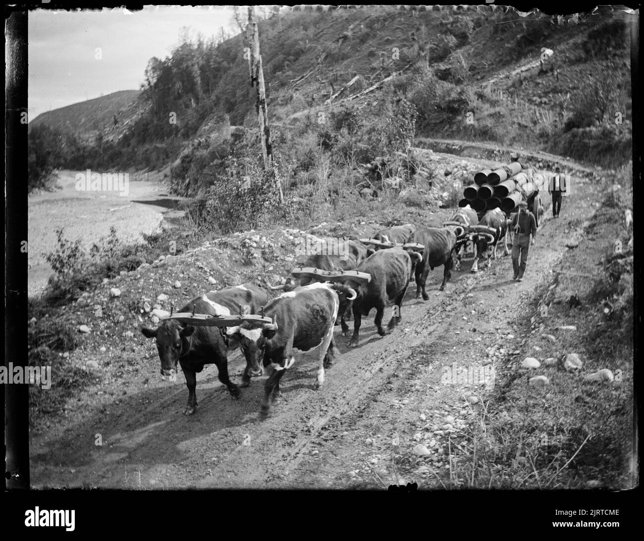 Levin water supply project bullock train hi-res stock photography and ...