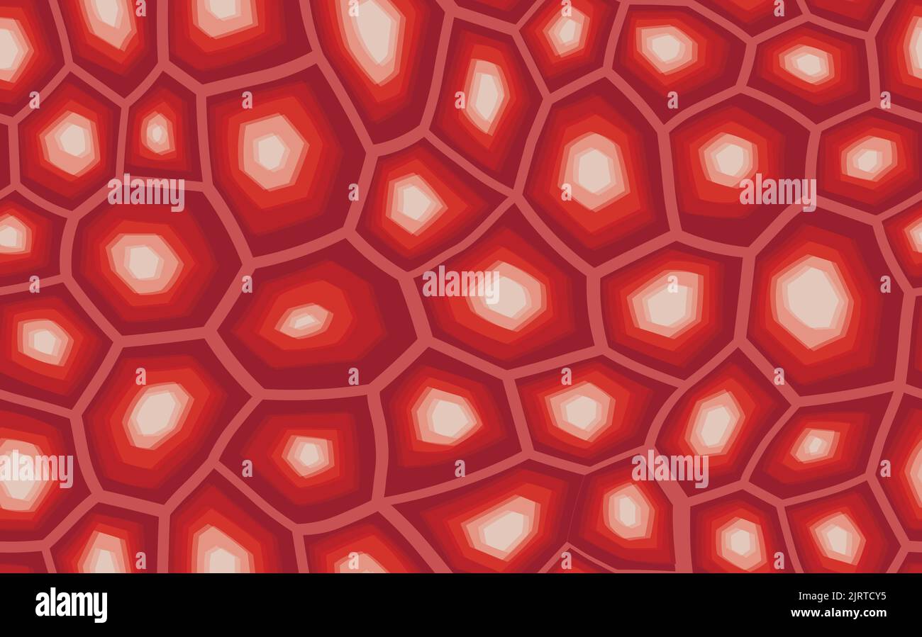 Abstract modern turtle shell seamless pattern. Animals trendy ...