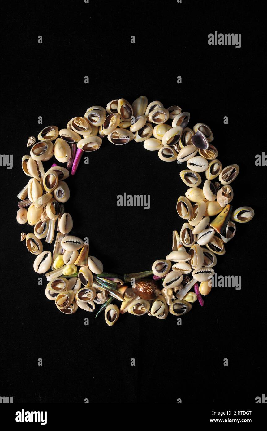 Textured Limestone Sea Shells on a Black Background Stock Photo - Alamy