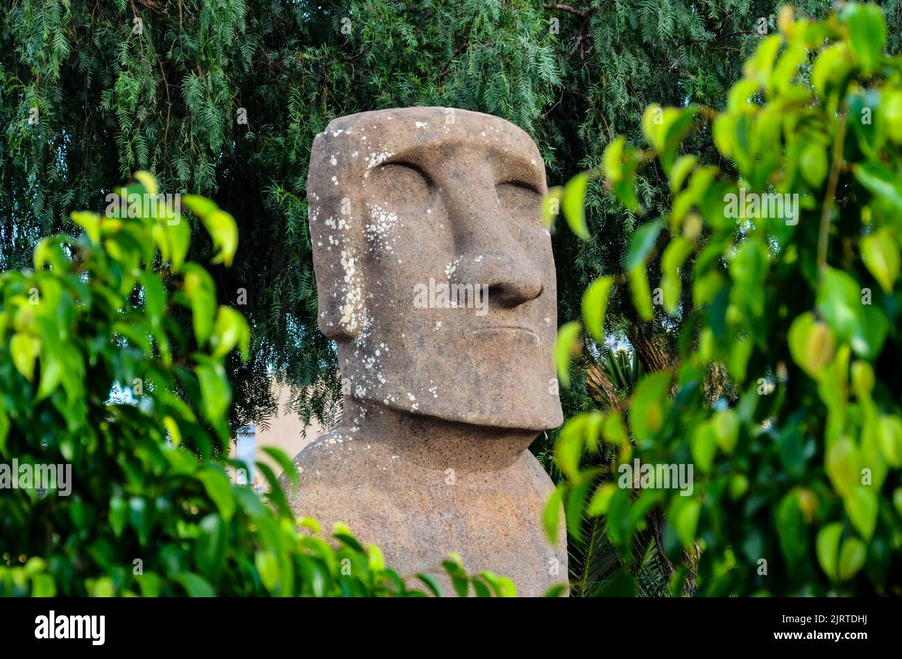 Moai standing from Easter Island , Chile South America Stock Photo - Alamy