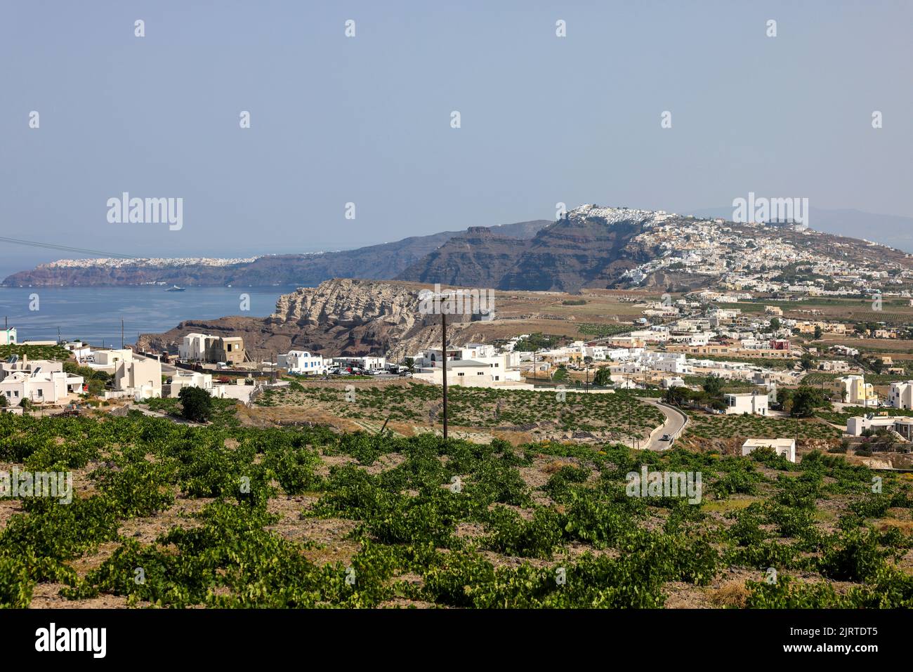 Assyrtiko - indigenous wine grape in wineyard on Santorini Island ...