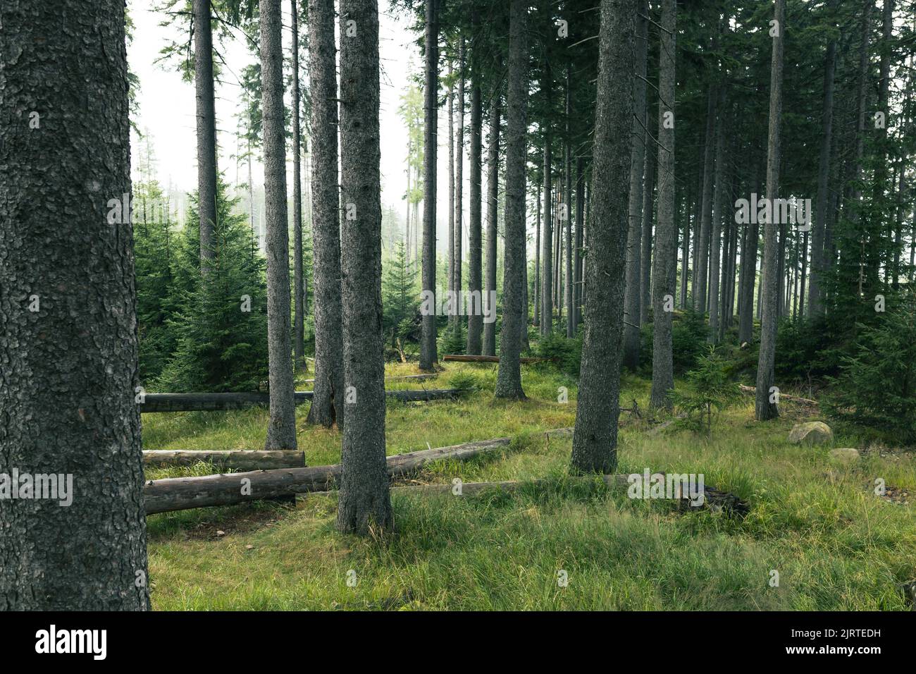 Hillside trails hi-res stock photography and images - Alamy