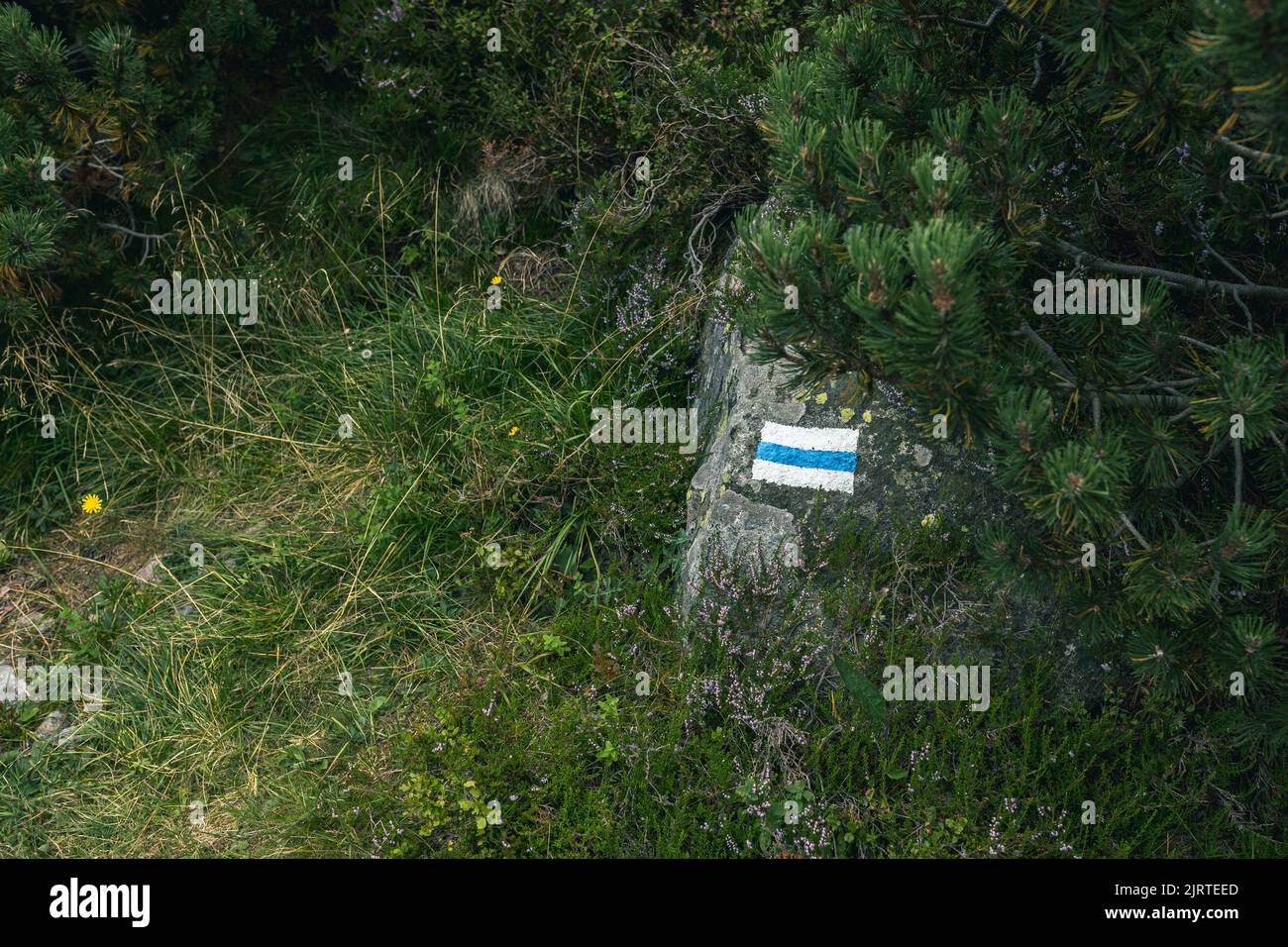 Blue and white square hiking markers, trail blazing symbol on a stone ...