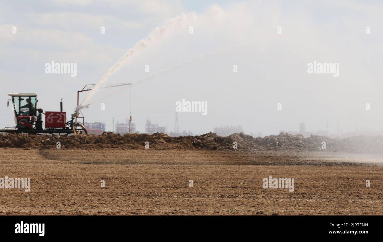 LIANYUNGANG, CHINA - AUGUST 26, 2022 - Villagers water garlic plants to ...