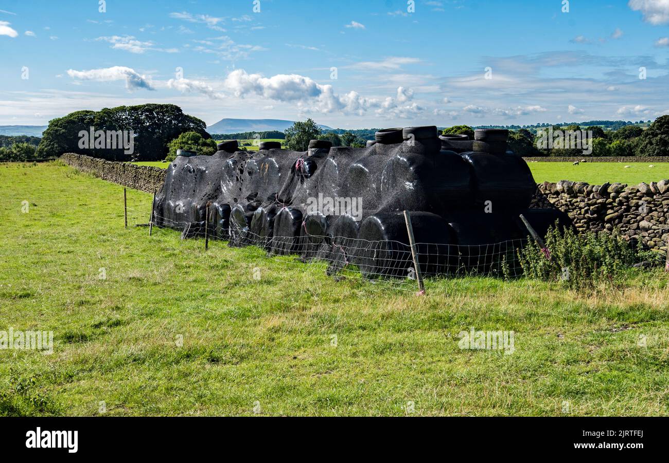 Big bale crow protection by farmer using netting Stock Photo - Alamy