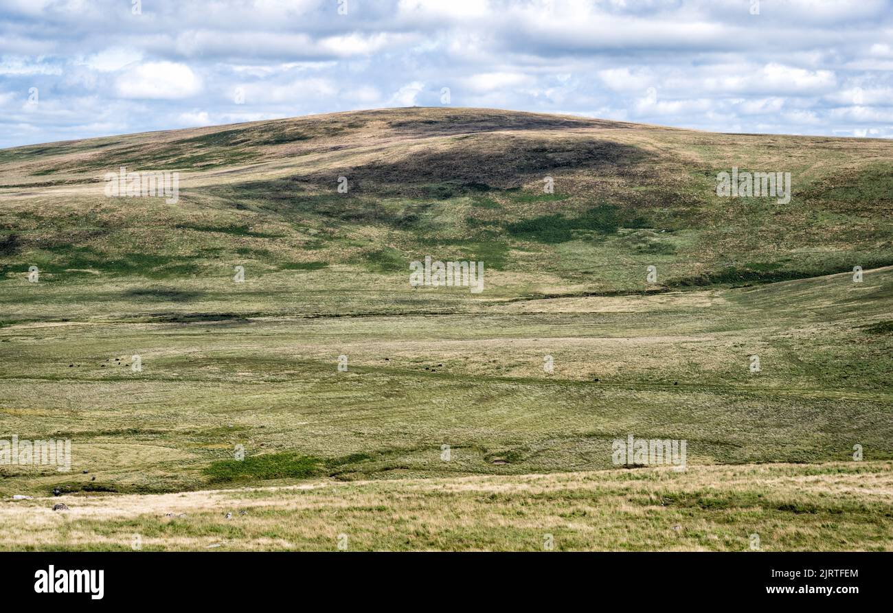 Cosdon Hill, also known as Cawsand Beacon, seen across the River Taw ...