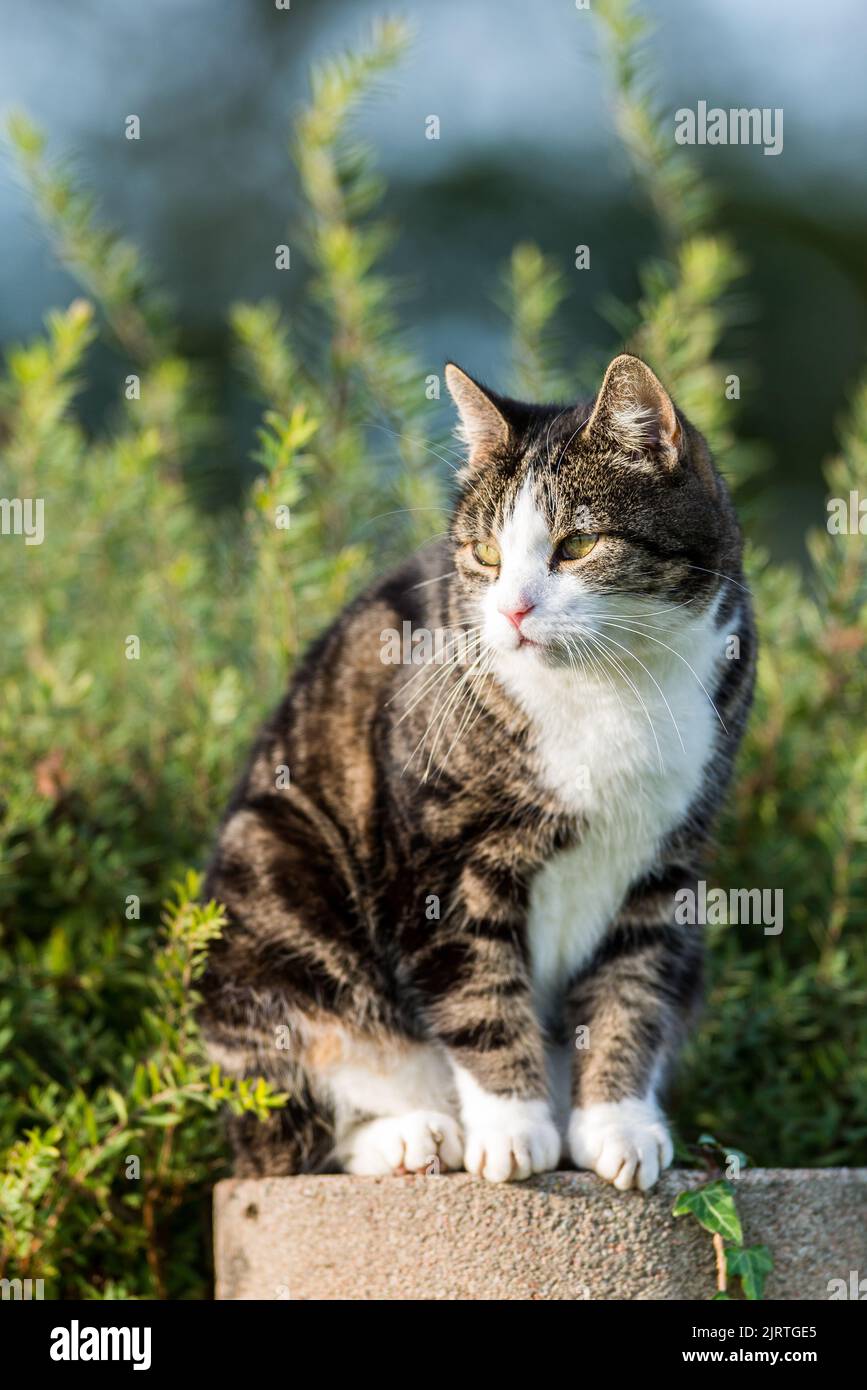 Waiting for food billboard hi-res stock photography and images - Alamy