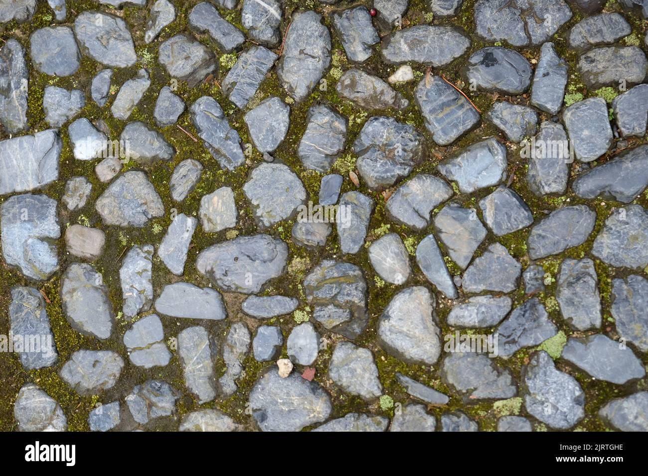 A stone brick on the ground Stock Photo - Alamy