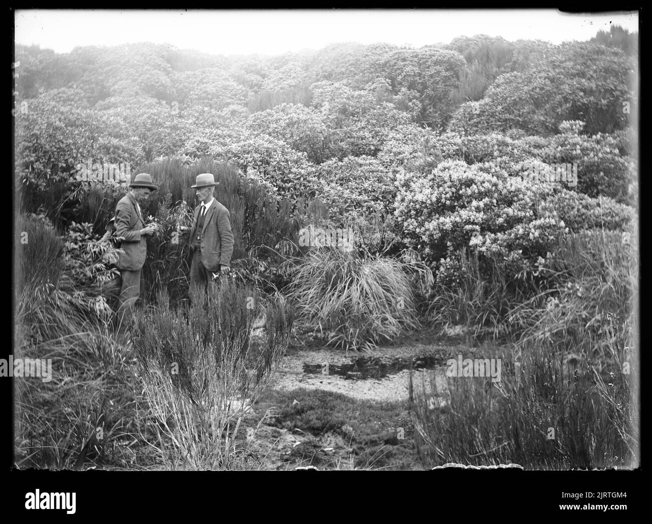 6 february 1964 hi-res stock photography and images - Alamy