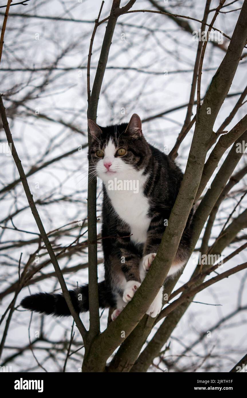 Waiting for food billboard hi-res stock photography and images - Alamy