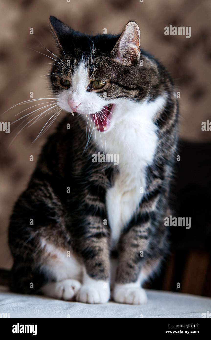 Waiting for food billboard hi-res stock photography and images - Alamy