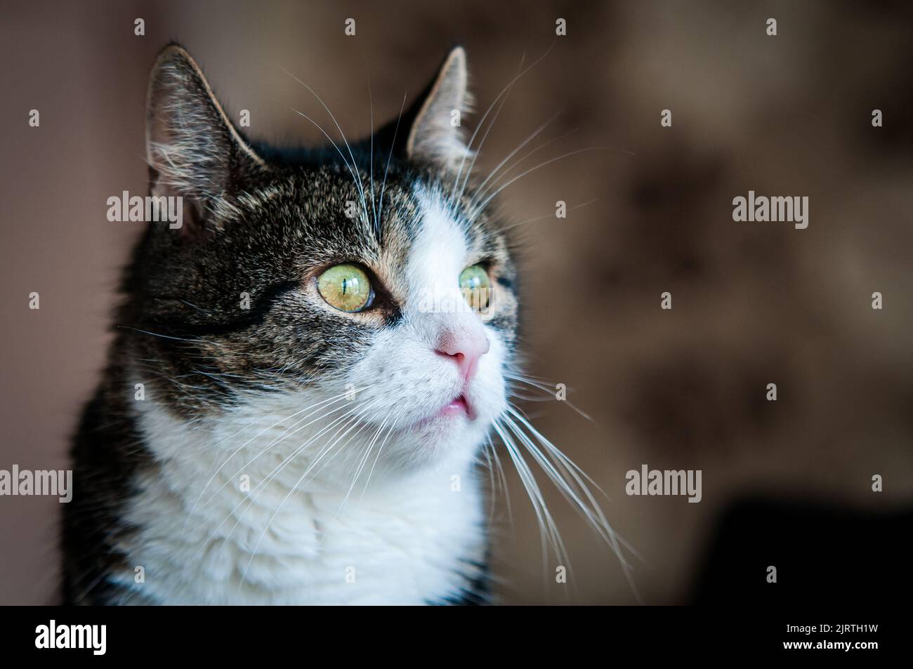 Waiting for food billboard hi-res stock photography and images - Alamy