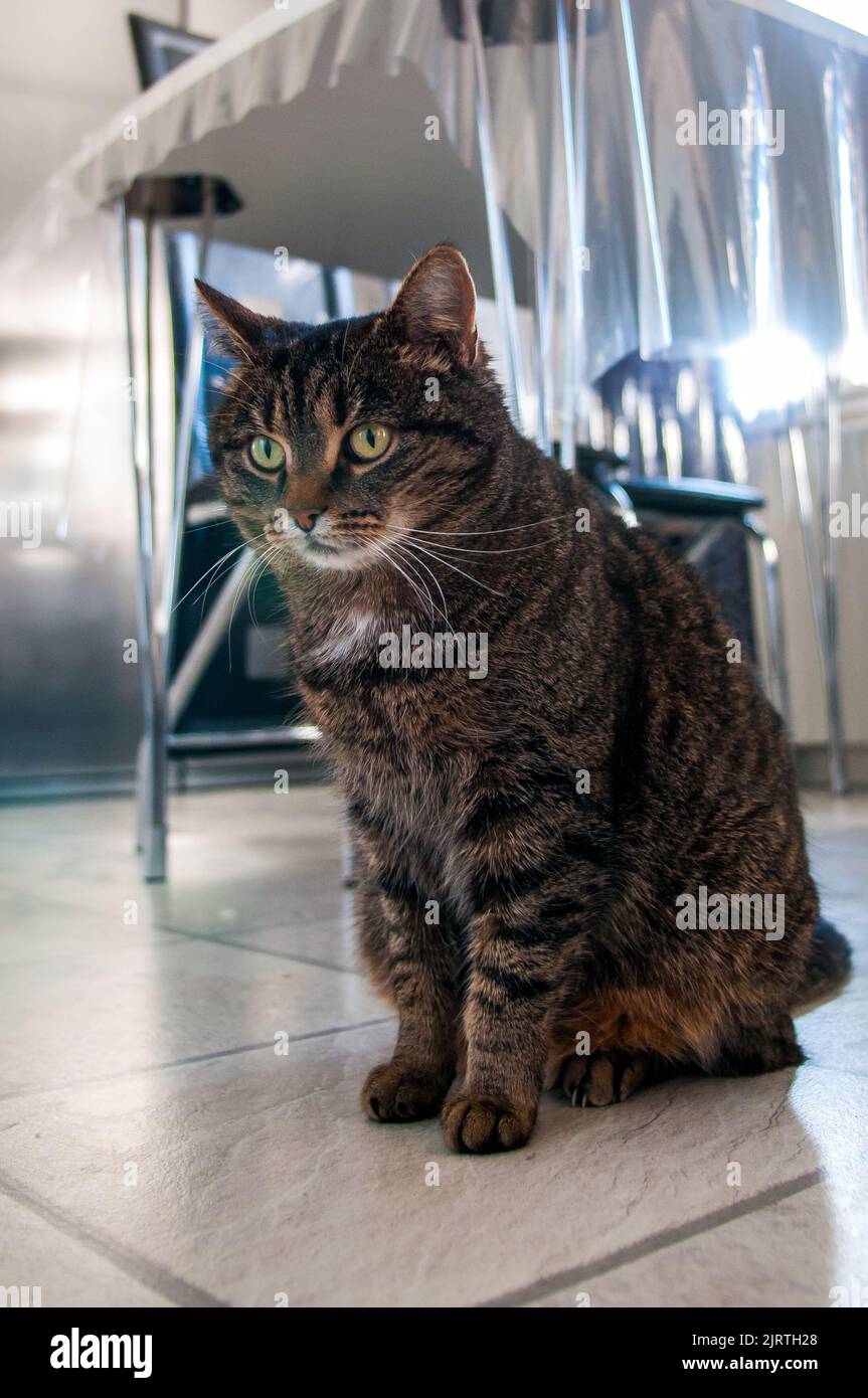 Waiting for food billboard hi-res stock photography and images - Alamy