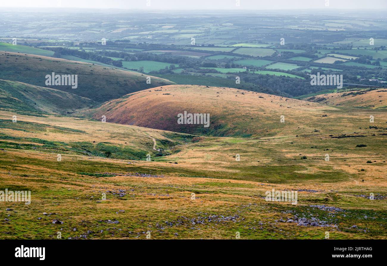 View of Black Down and farmlands of north Devon, seen from West Mill ...