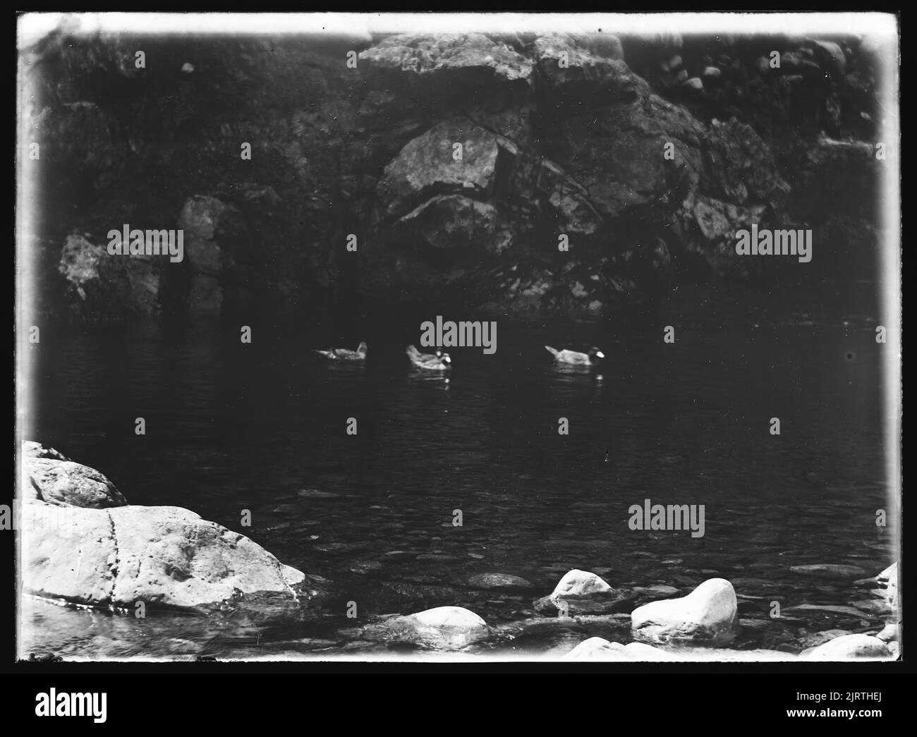 1922 tararua range hi-res stock photography and images - Alamy