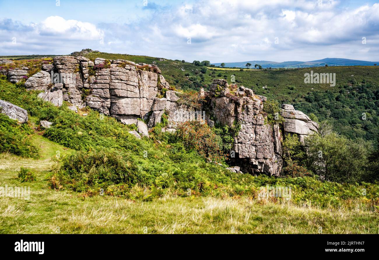 Spectacular peaks of granite on Bench Tor, Dartmoor National Park ...