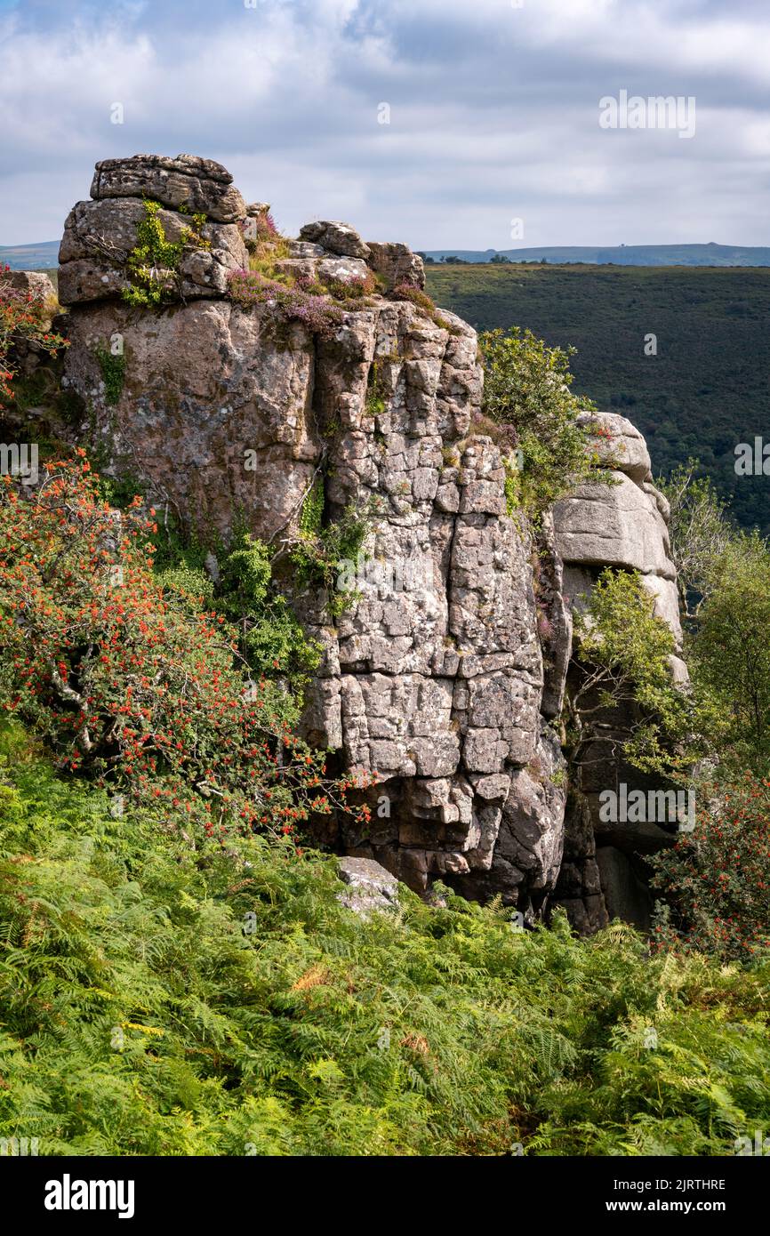 Spectacular peaks of granite on Bench Tor, Dartmoor National Park ...