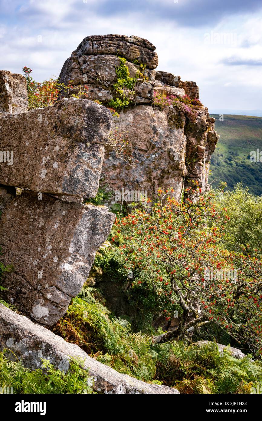Spectacular peaks of granite on Bench Tor, Dartmoor National Park ...