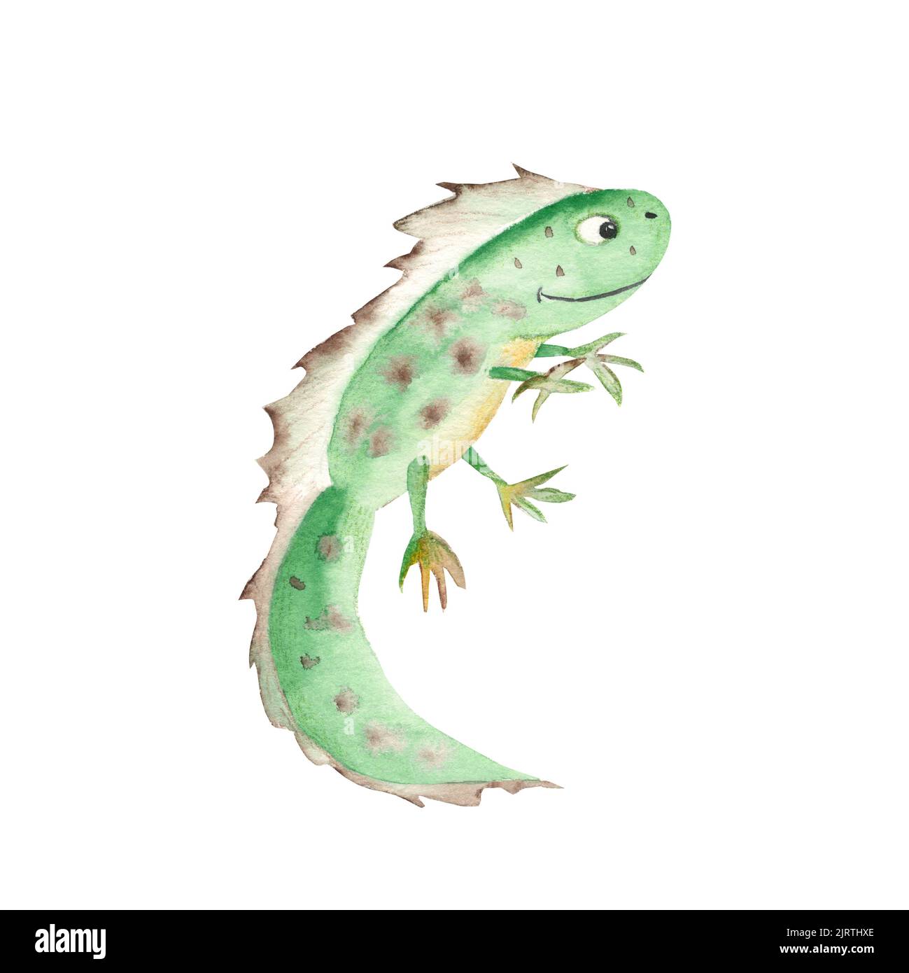Cute smiling newt isolated on white background. Watercolor hand drawn ...