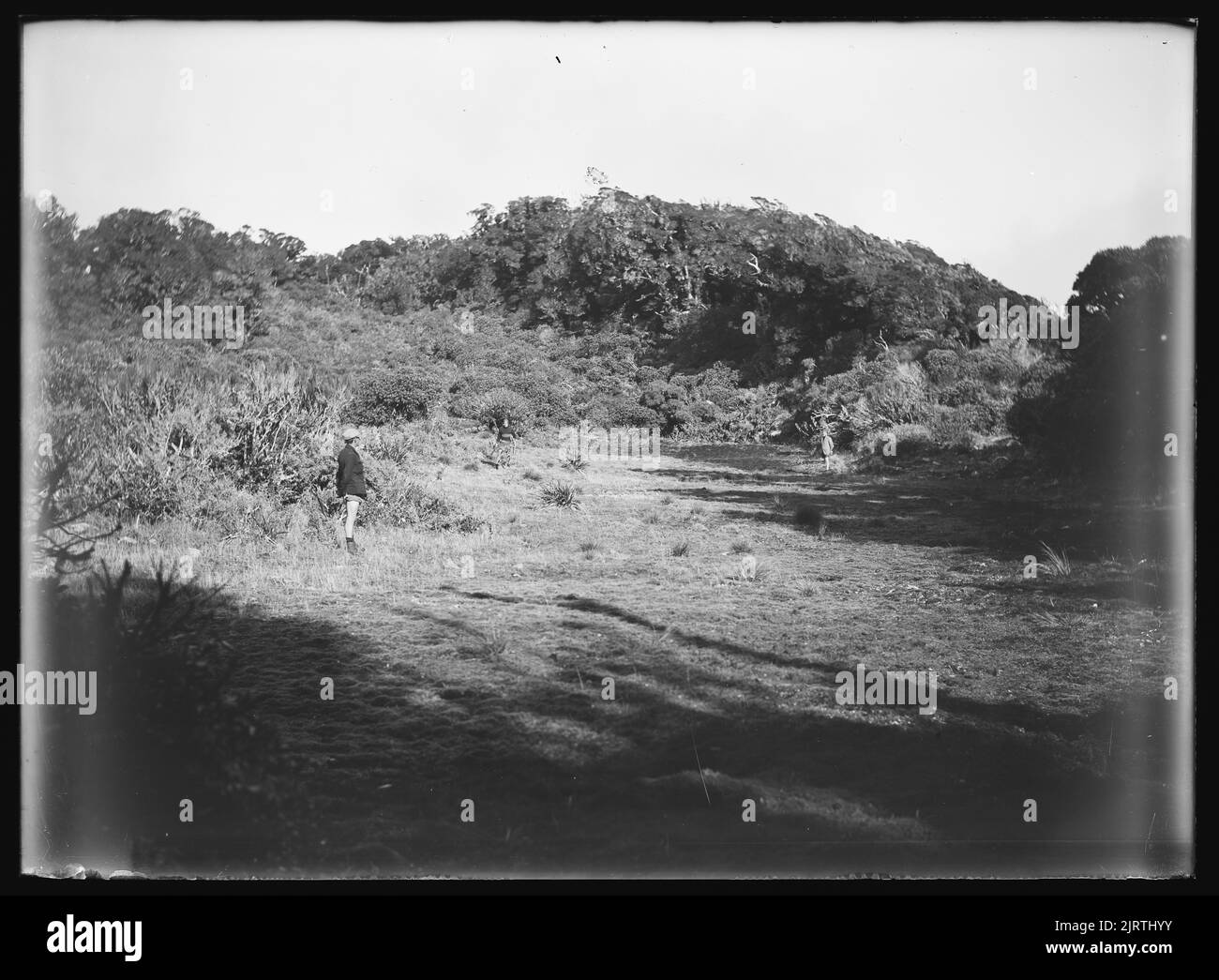 First visit to Oriwa Hollow and Headwaters, Otaki : 2 June 1928-4 June ...