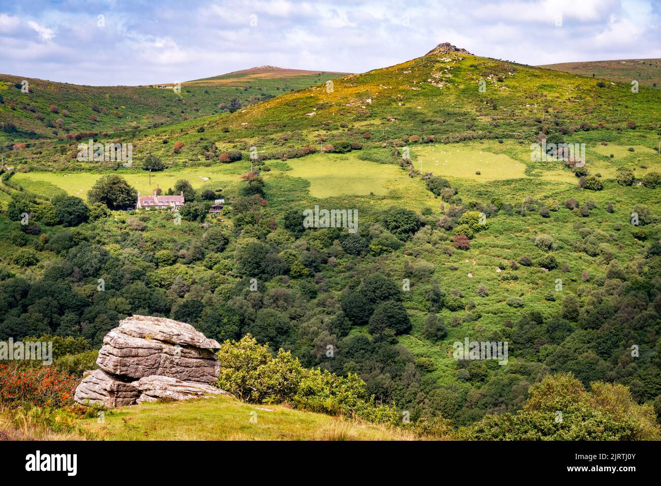 View from Bench Tor, across the valley of the River Dart to Sharp Tor ...