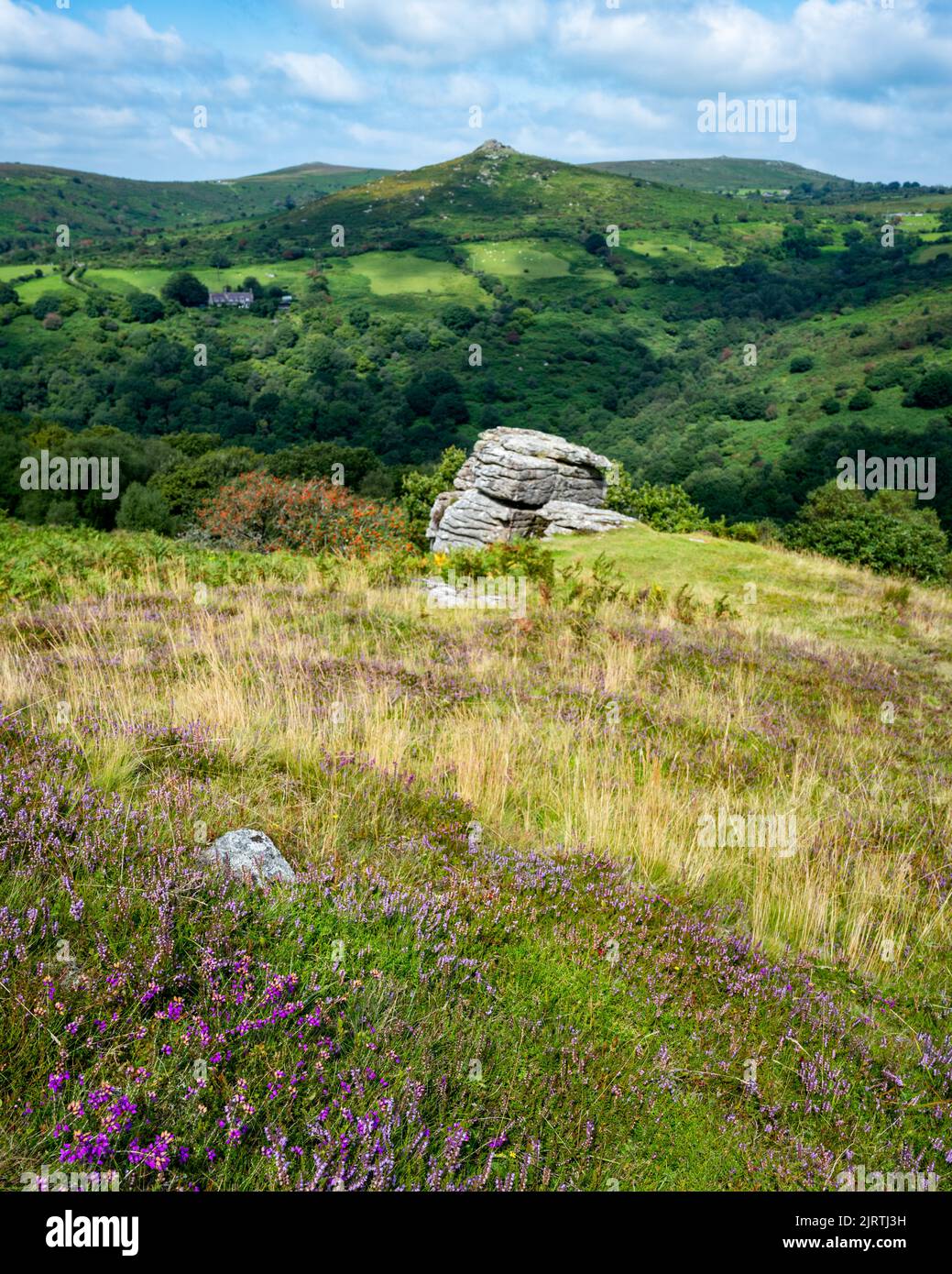 View from Bench Tor, across the valley of the River Dart to Sharp Tor ...