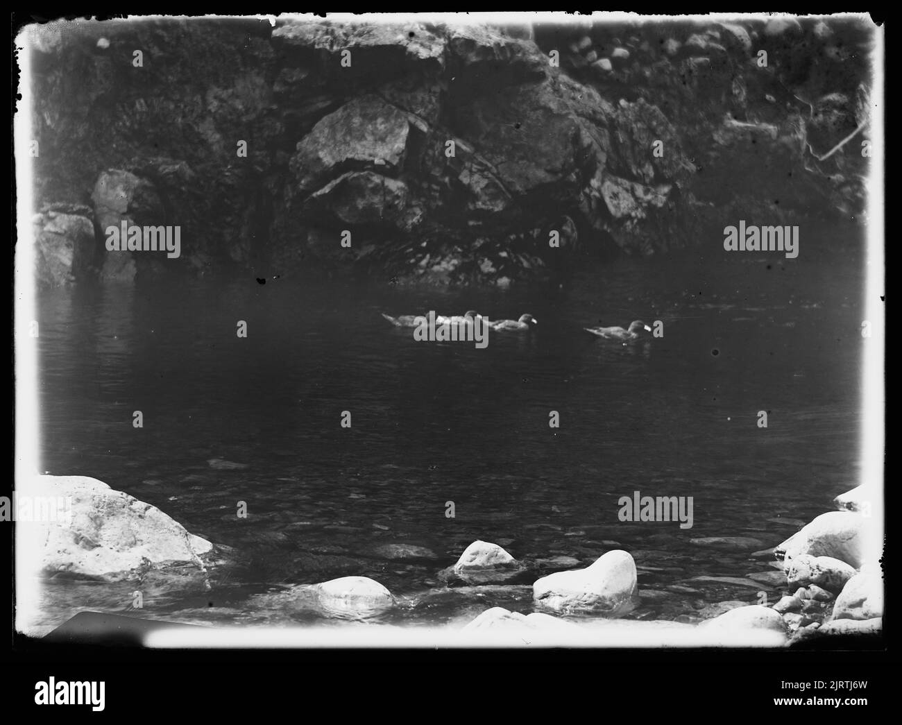 1922 tararua range hi-res stock photography and images - Alamy