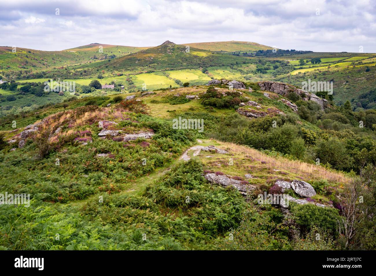 View of Bench Tor, and, across the valley of the River Dart, Sharp Tor ...