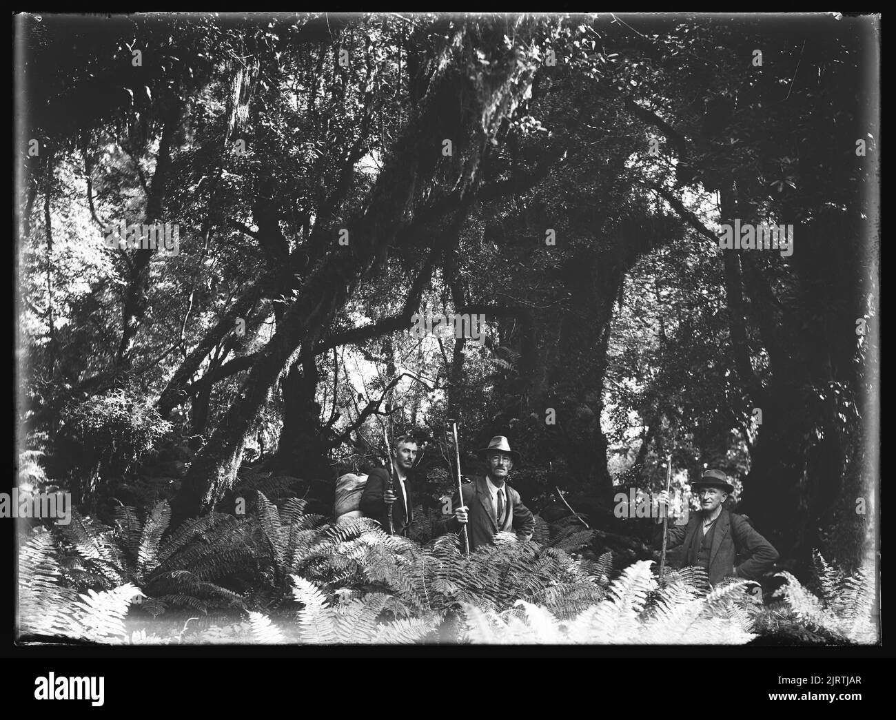 1922 tararua range hi-res stock photography and images - Alamy