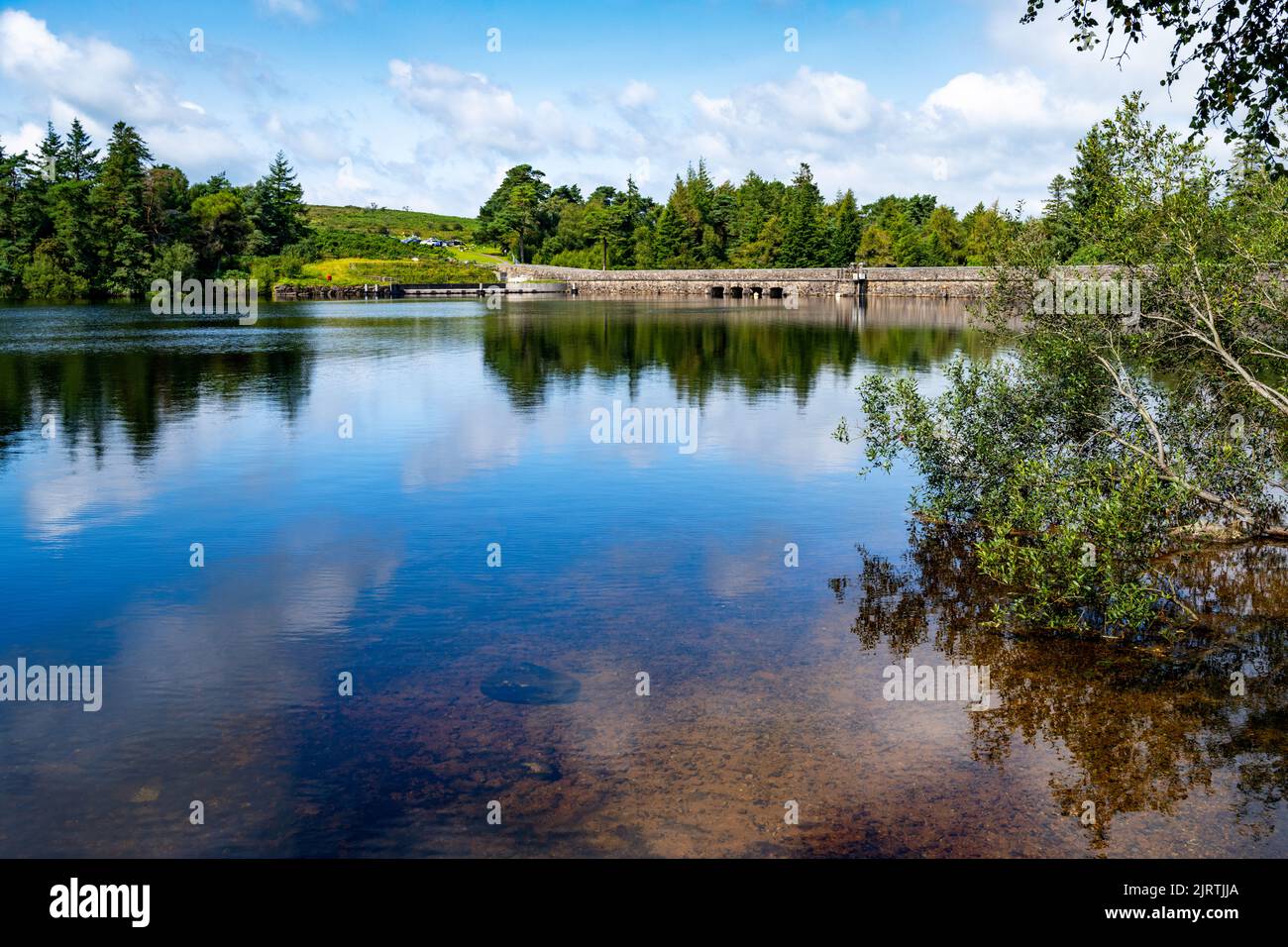 Venford Reservoir (1907), surrounded by woodland, was originally built ...