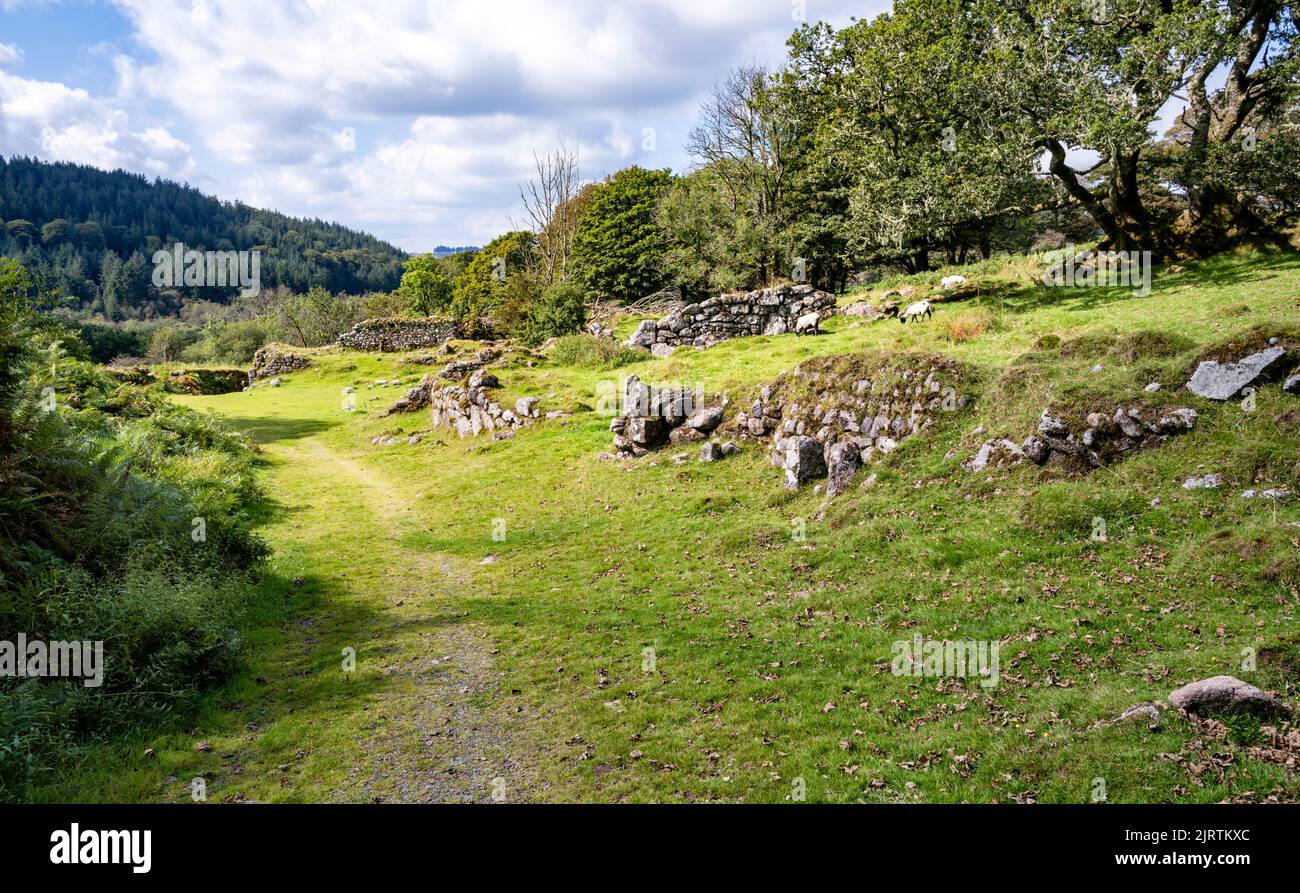 Devon dry stone walls hi-res stock photography and images - Alamy