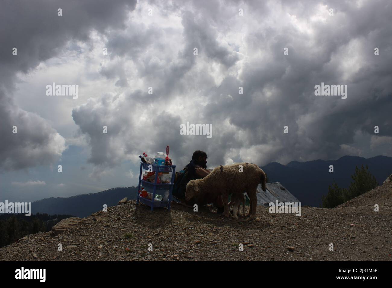 Habba khatoon hi-res stock photography and images - Alamy