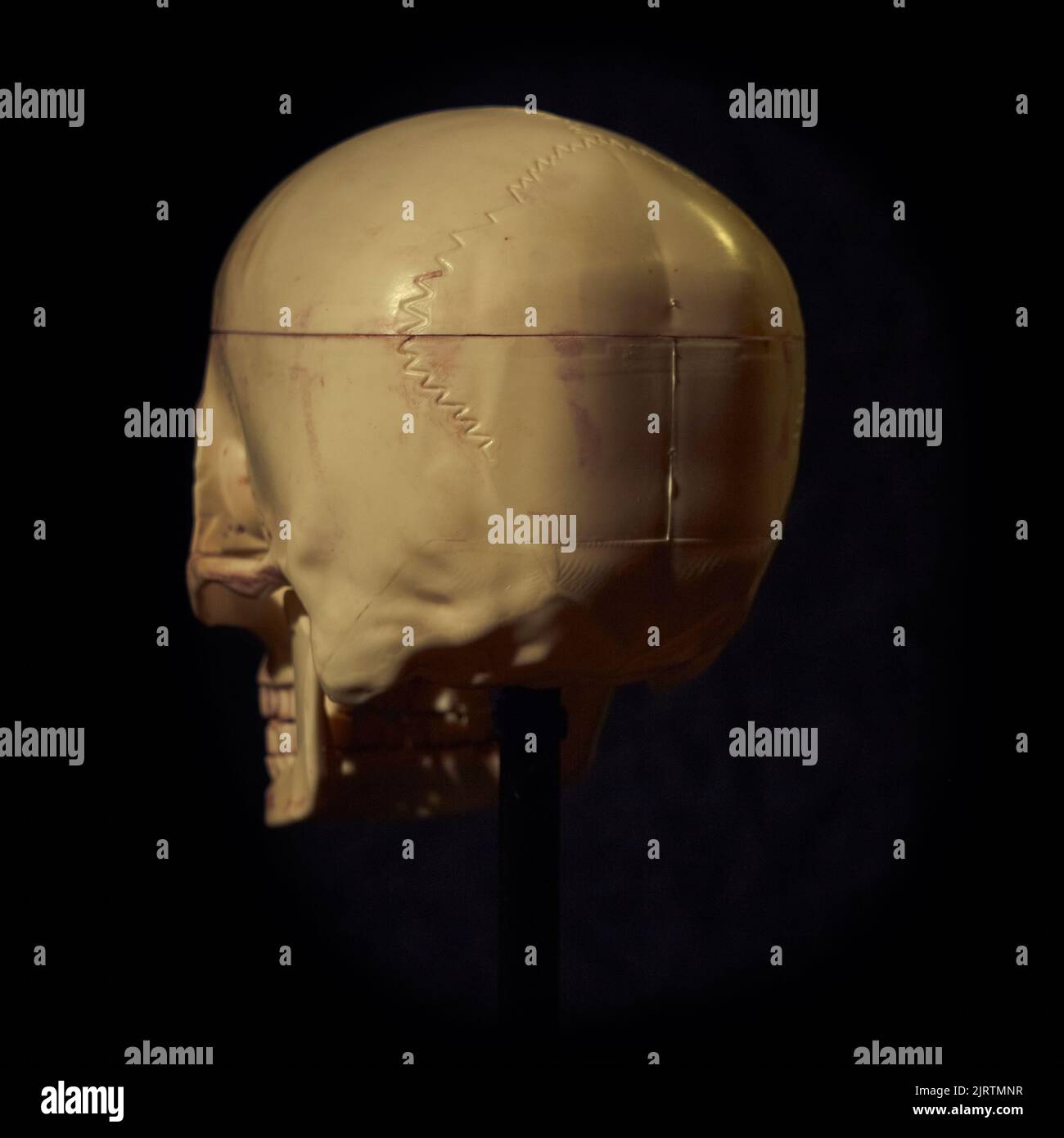 Damaged Dirty and bloody skull head on black background isolated Stock ...