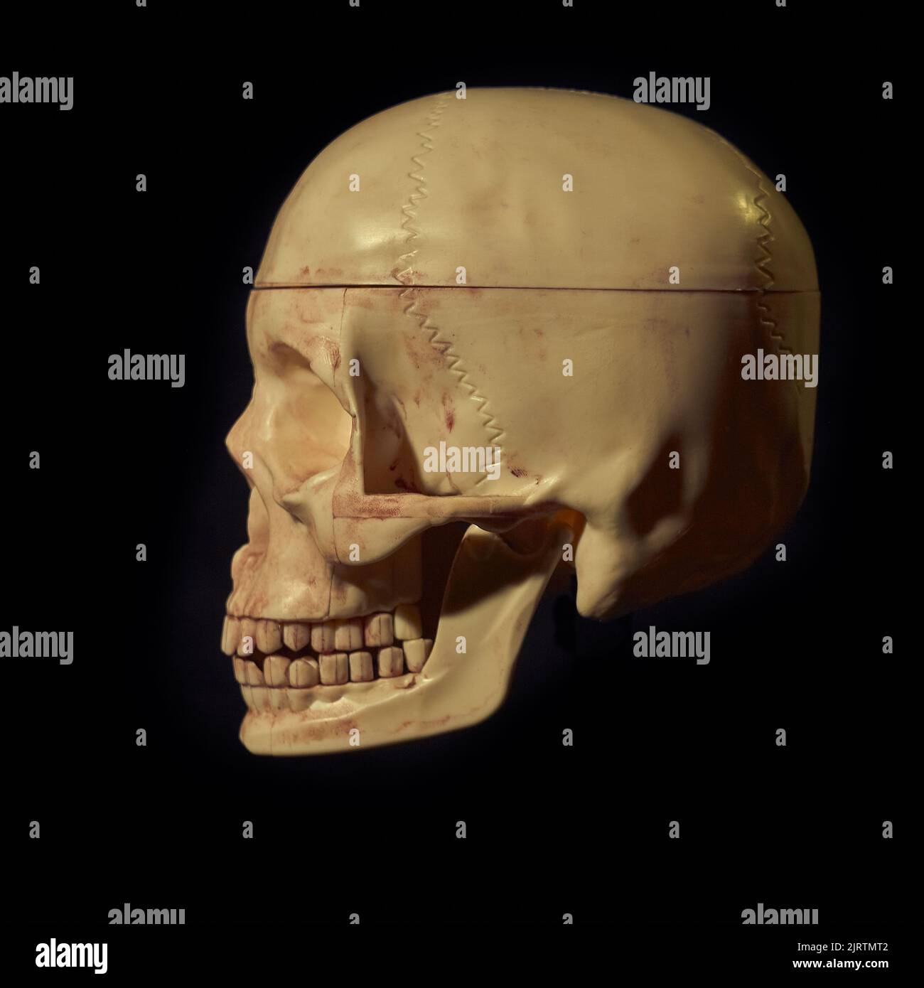 Damaged Dirty and bloody skull head on black background isolated Stock ...