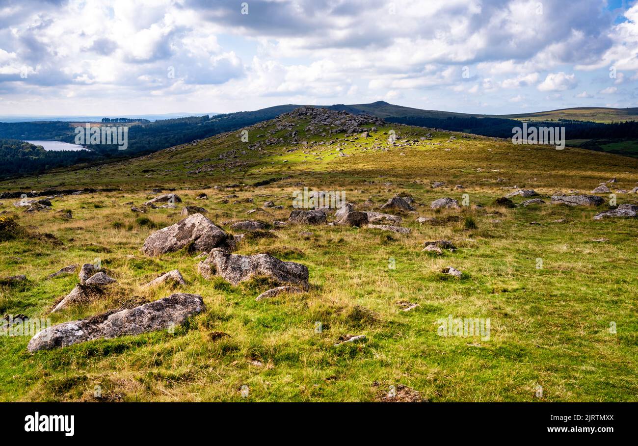 View facing west towards Down Tor and including Burrator Reservoir in ...