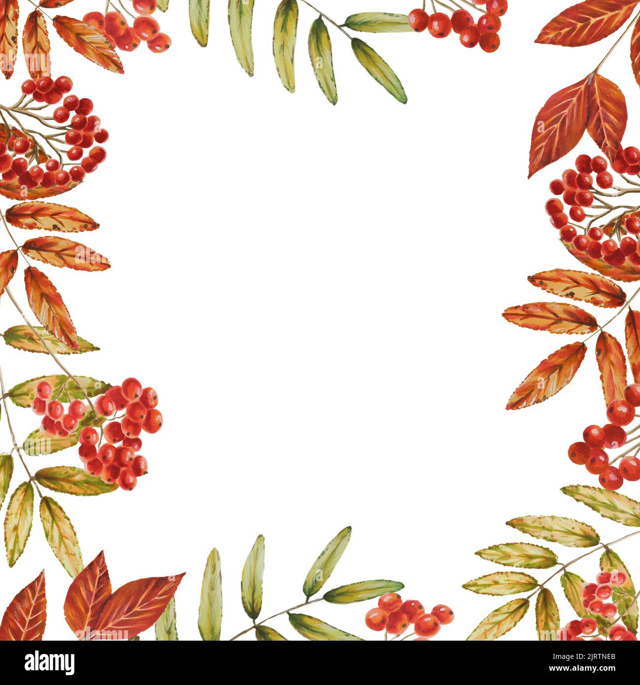 Autumn watercolor isolated frame Stock Photo - Alamy