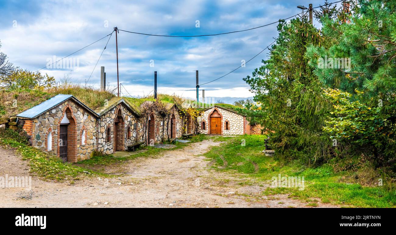 Traditional historical wine cellar at Vrbice village, South Moravia ...