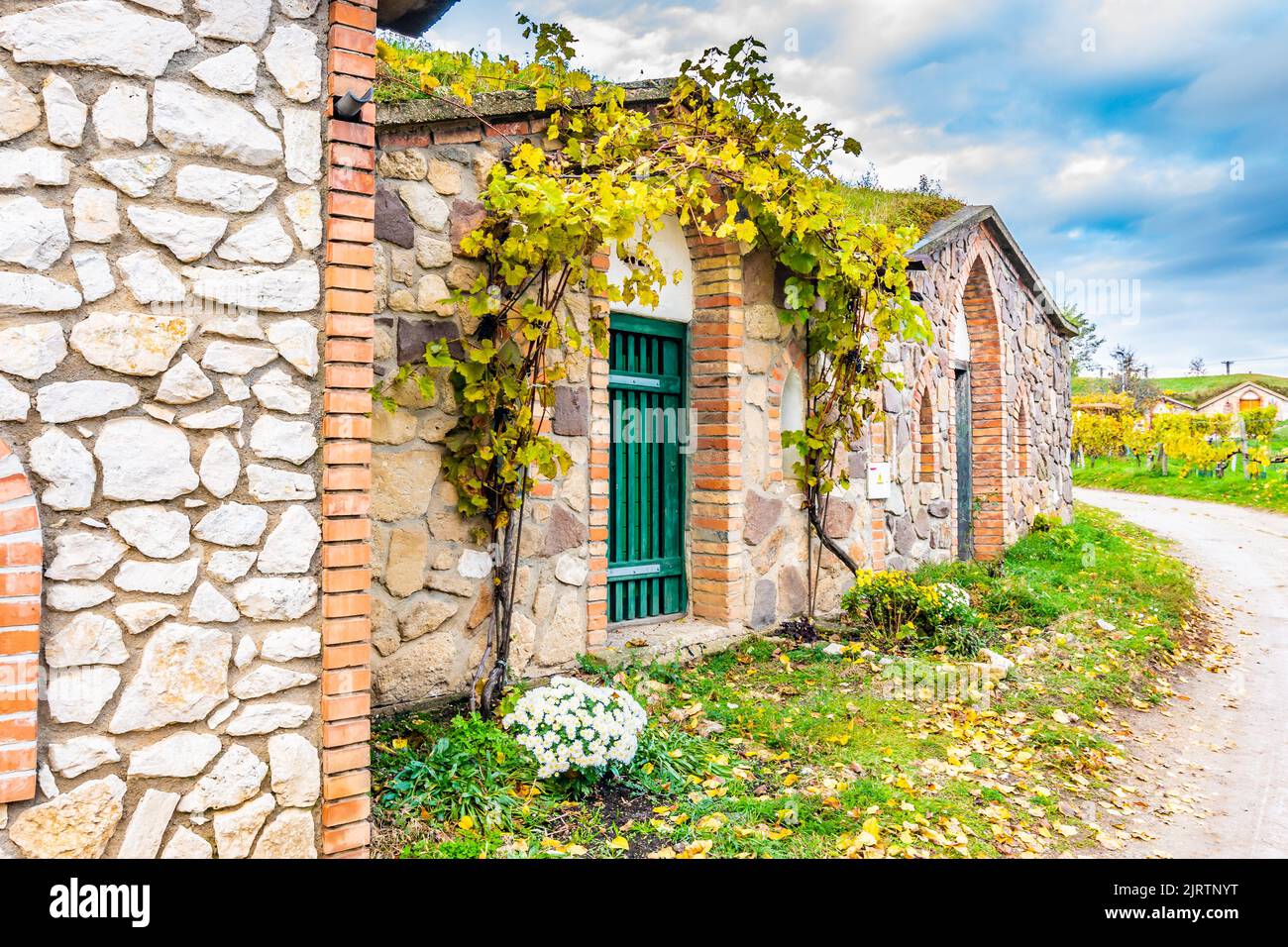 Traditional historical wine cellar at Vrbice village, South Moravia ...