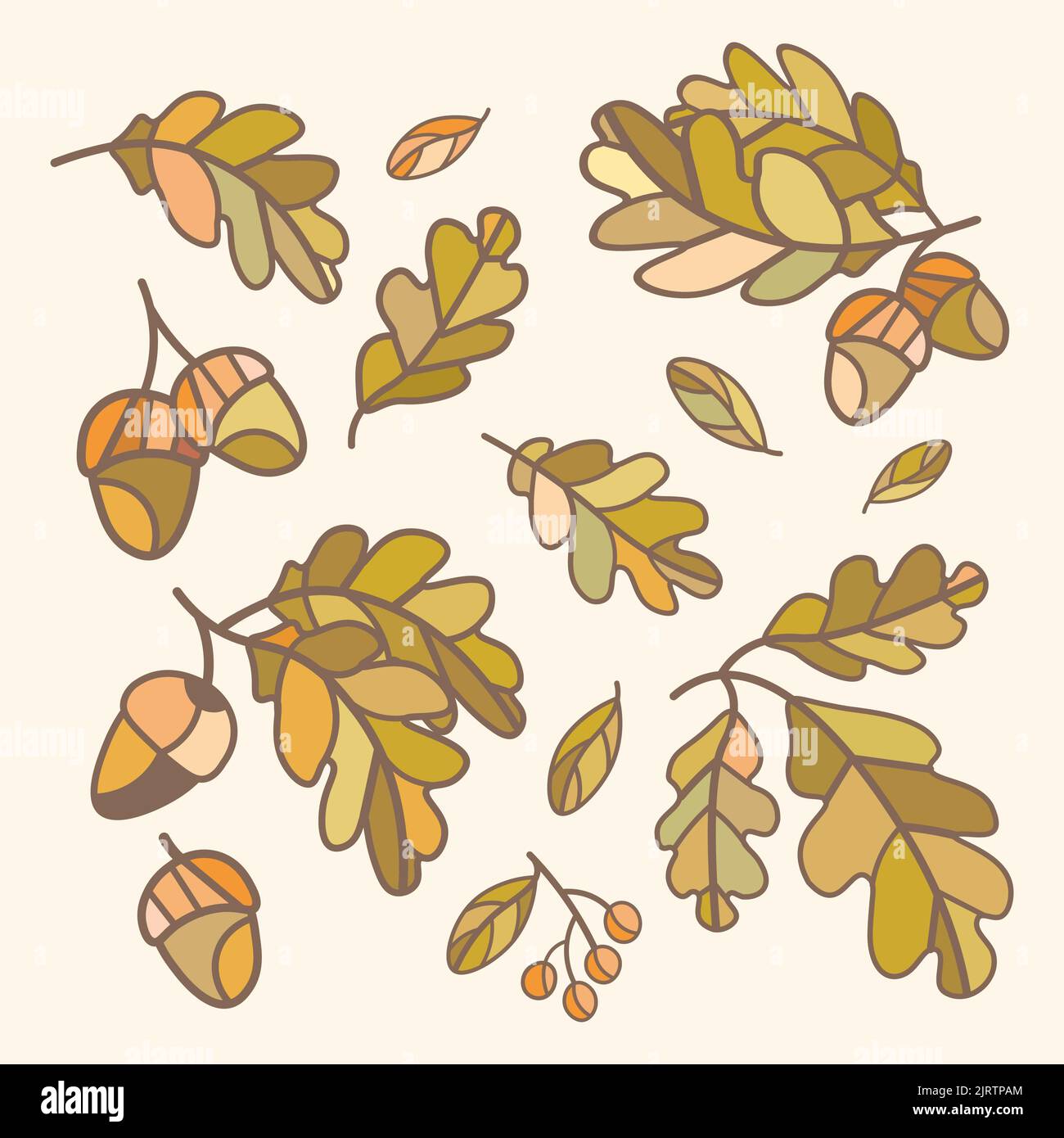 set of vector oak leaves with acorns Stock Vector Image & Art - Alamy
