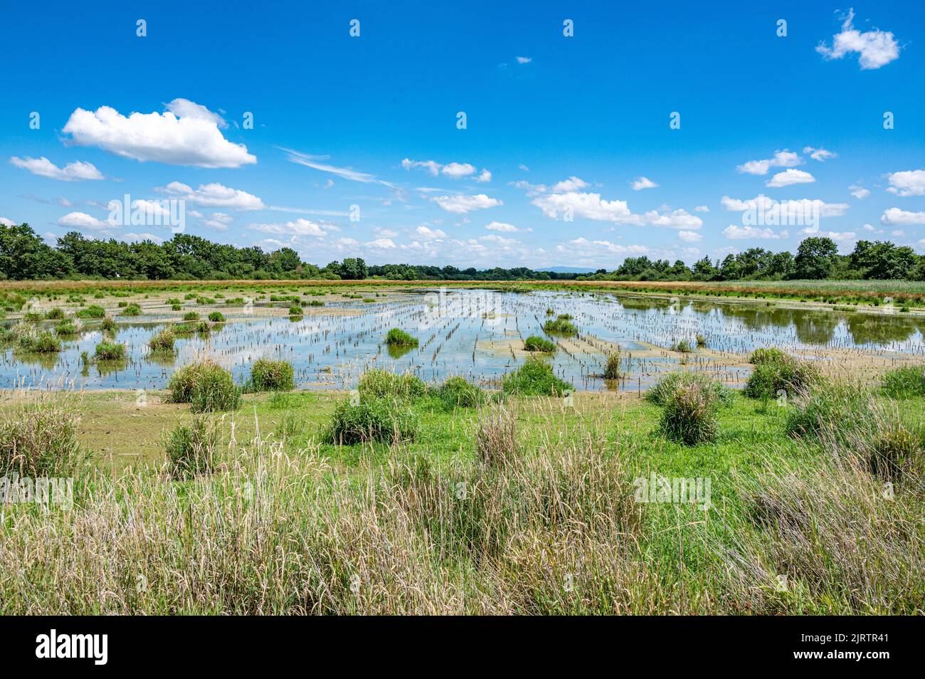 On the plateau de Dombes, the lakes "étangs de Dombes" form a ...