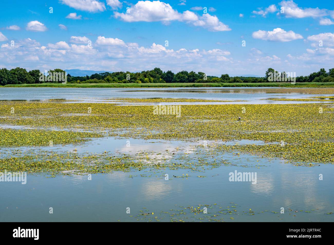 Plateau de dombes hi-res stock photography and images - Alamy