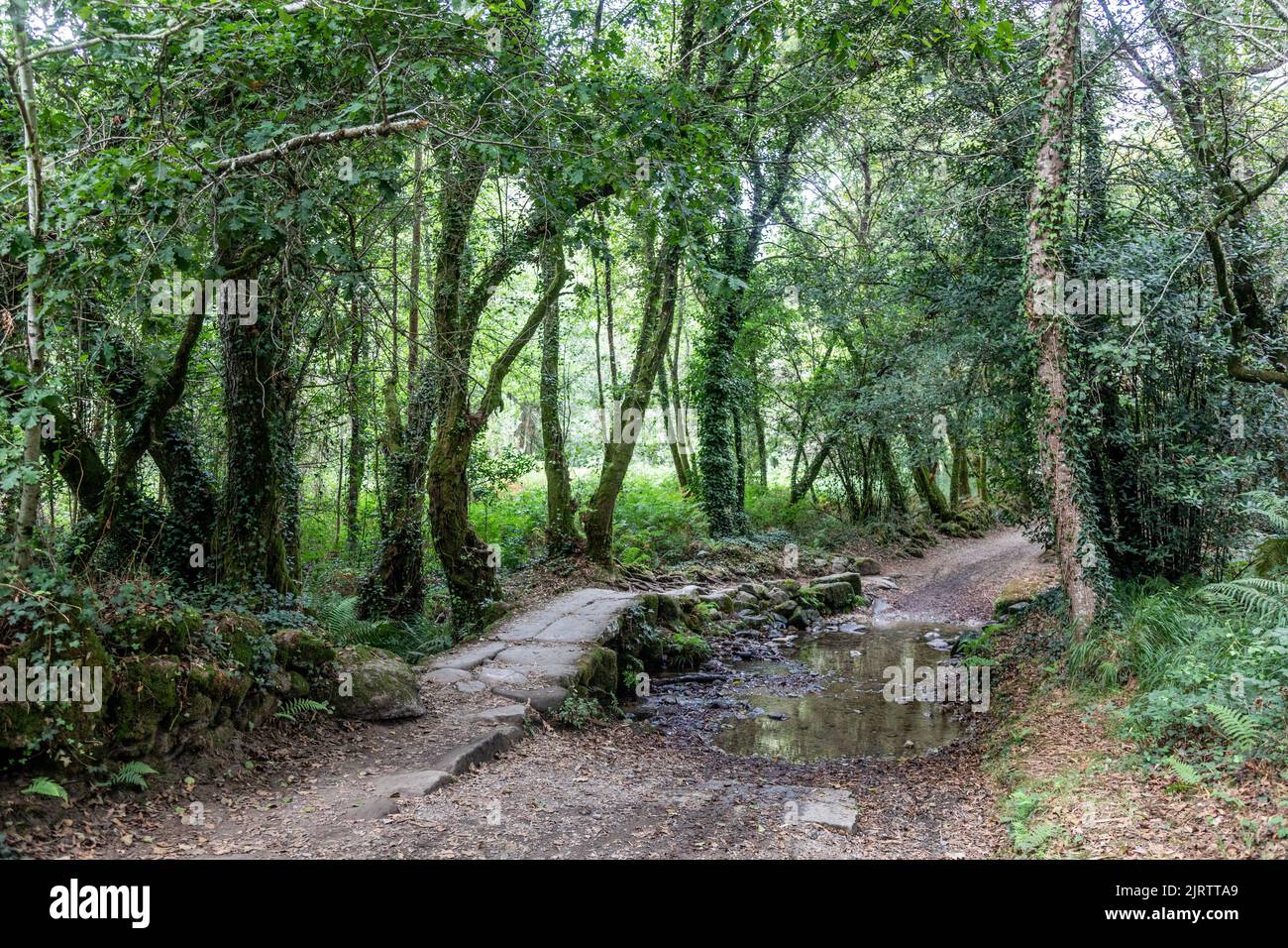 Pilgrimage camino de santiago hi-res stock photography and images - Alamy